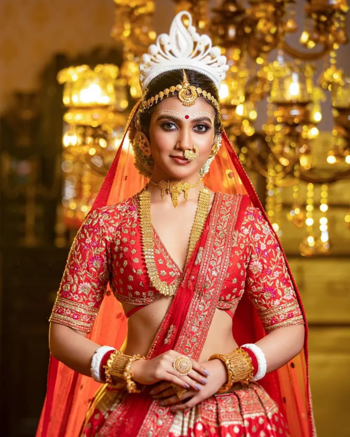 Rajnandini Paul Age, Biography, Boyfriend, Marriage, Husband